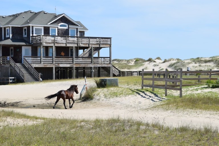OBX Family Fun – well traveled child