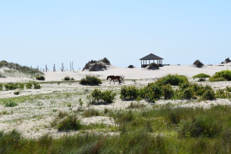 OBX Family Fun – well traveled child