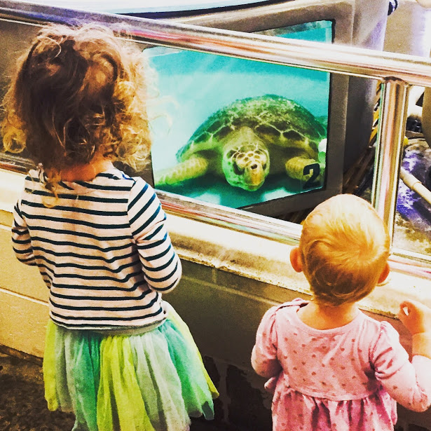 OBX Family Fun – well traveled child