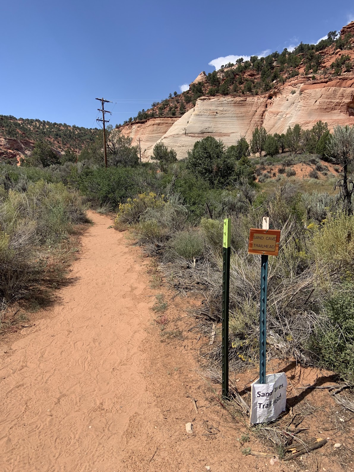 Zion National Park with Kids – well traveled child